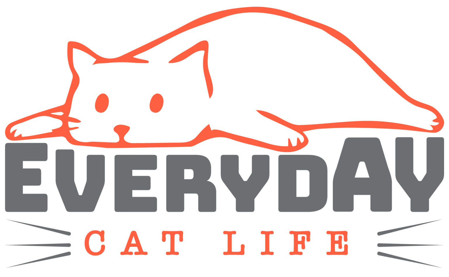 Pregnant Cat Behavior: Complete 5-Stage Guide