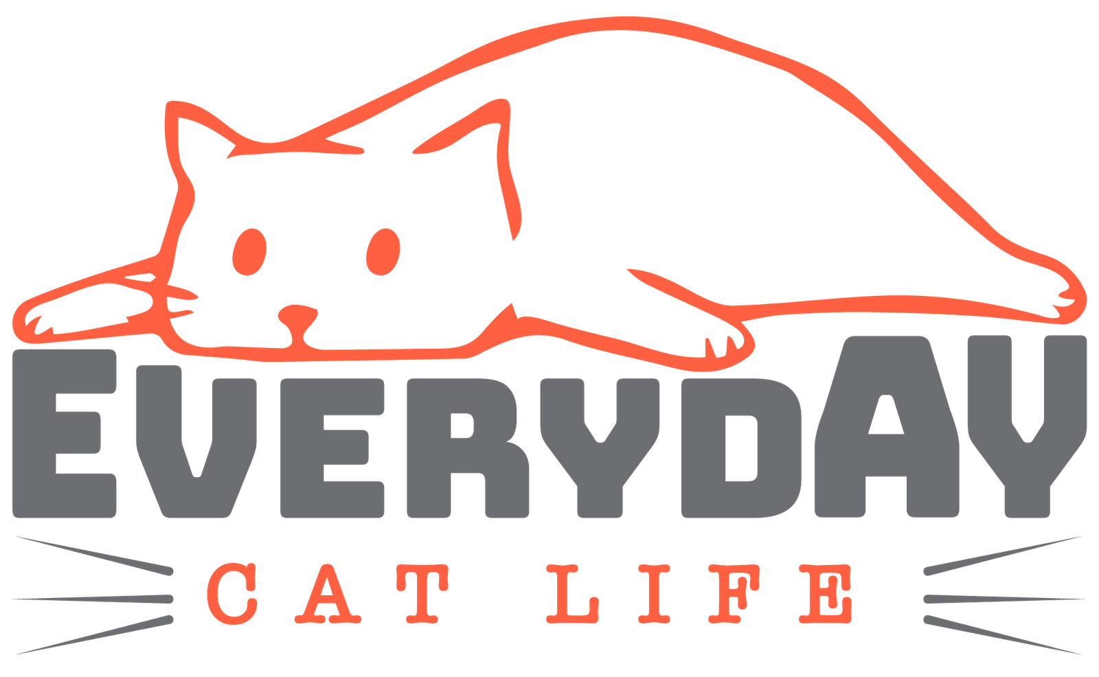 Pregnant Cat Behavior: Complete 5-Stage Guide